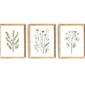 Botanical Flower 3 Poster Set Boho Cottagecore Decor Vintage Printable ...
