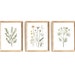 Botanical Flower 3 Poster Set Boho Cottagecore Decor - Etsy