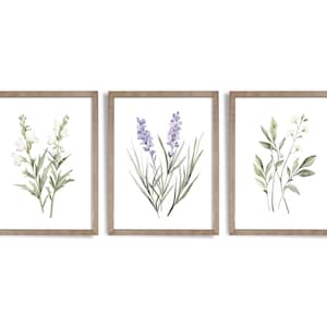 Botanical Flower 3 Poster Set Boho Cottagecore Decor Vintage Printable ...