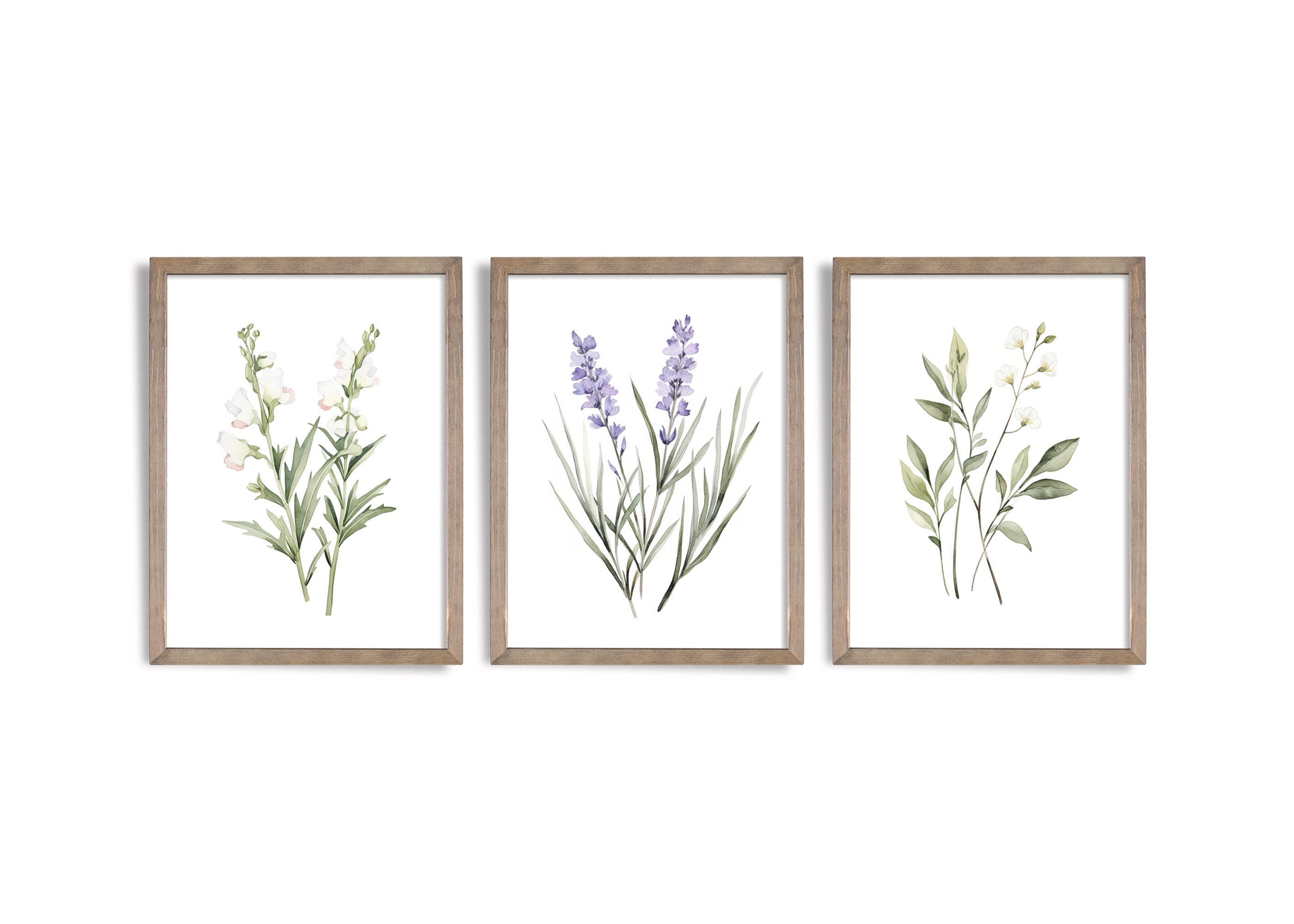Botanical Flower 3 Poster Set Boho Cottagecore Decor - Etsy
