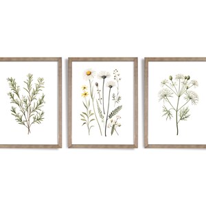 Botanical Flower 3 Poster Set Boho Cottagecore Decor Vintage Printable ...