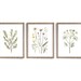 Botanical Flower 3 Poster Set Boho Cottagecore Decor - Etsy
