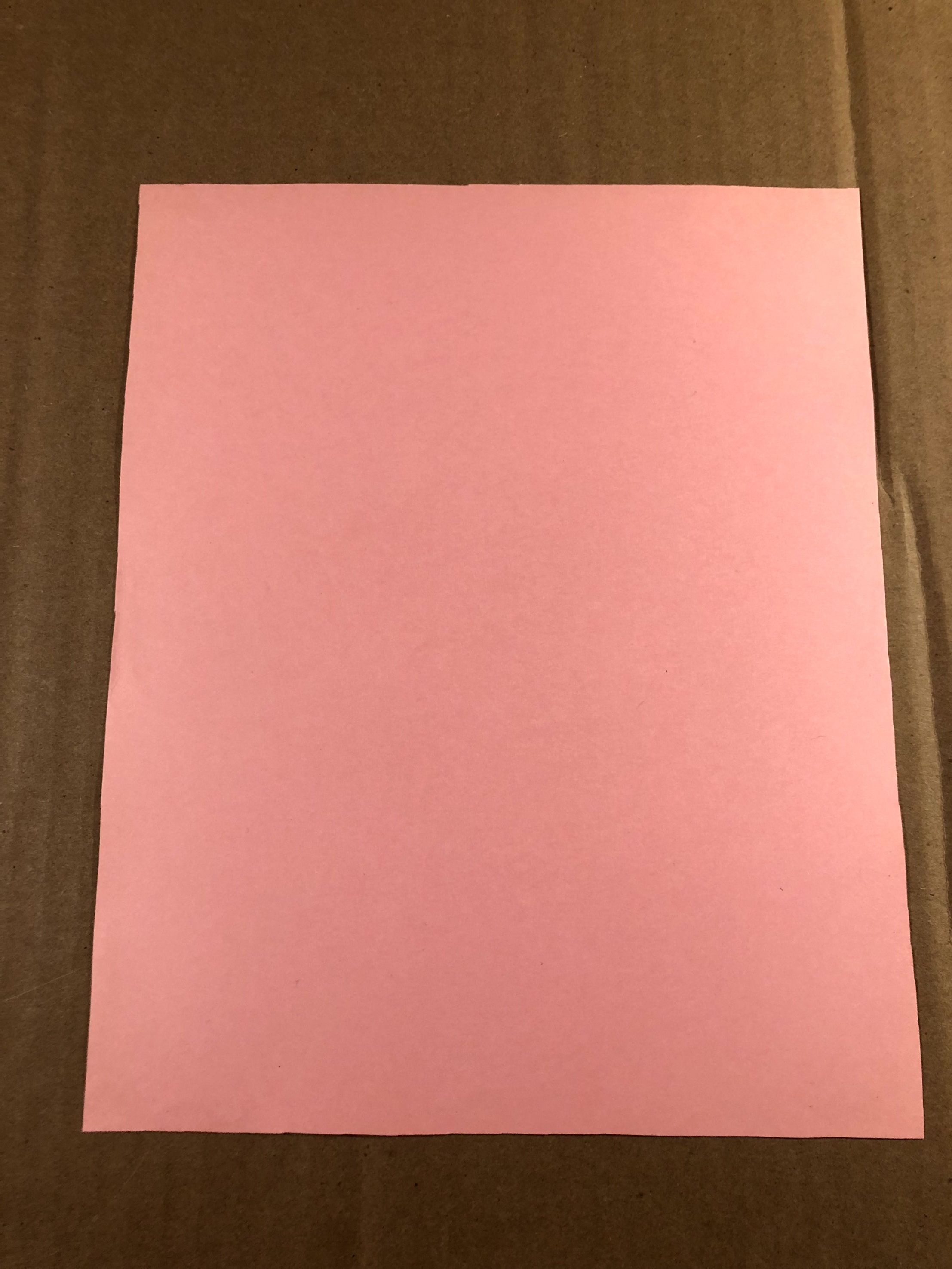 Julie Adams Rare Very Early Original Autographed 8/10 Photo From 50s ...