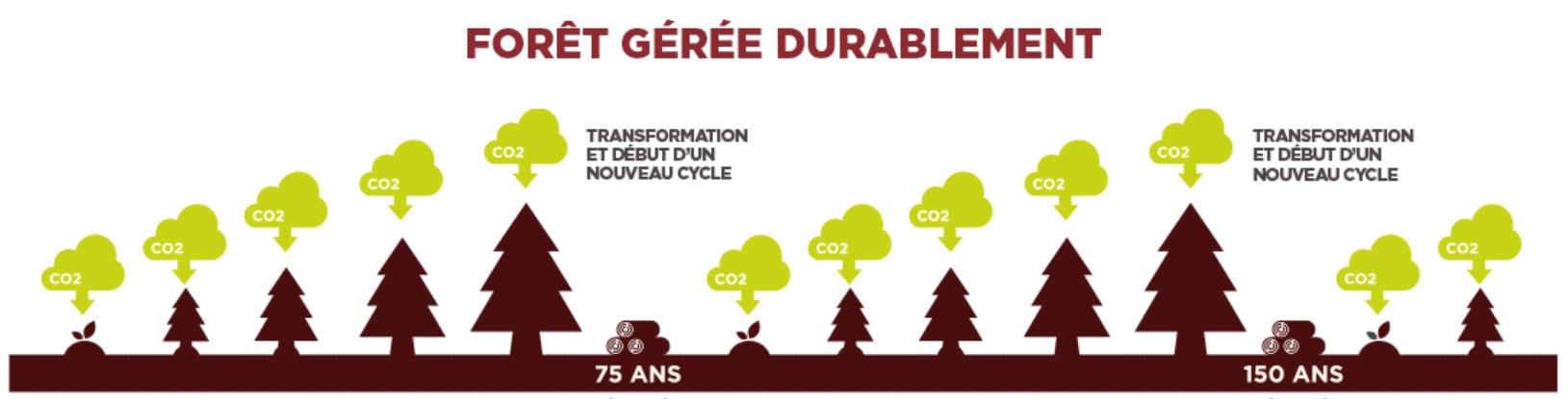 Trap Pass Target Shooting 2 Games in 1 Large Size 120 by 40 Cm - Etsy