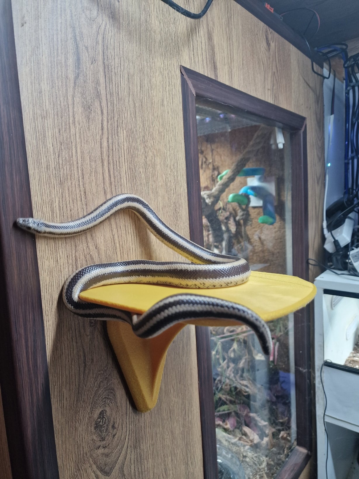 Detachable Basking Spot Shelf for Reptile Vivarium, 3D Printed ...