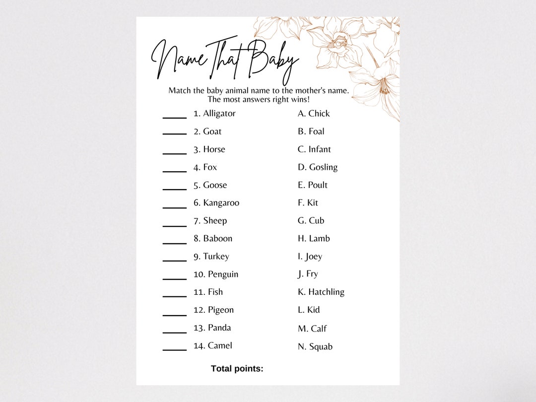 Floral Baby Shower Game: Name That Baby Animal (printable PDF) - Etsy