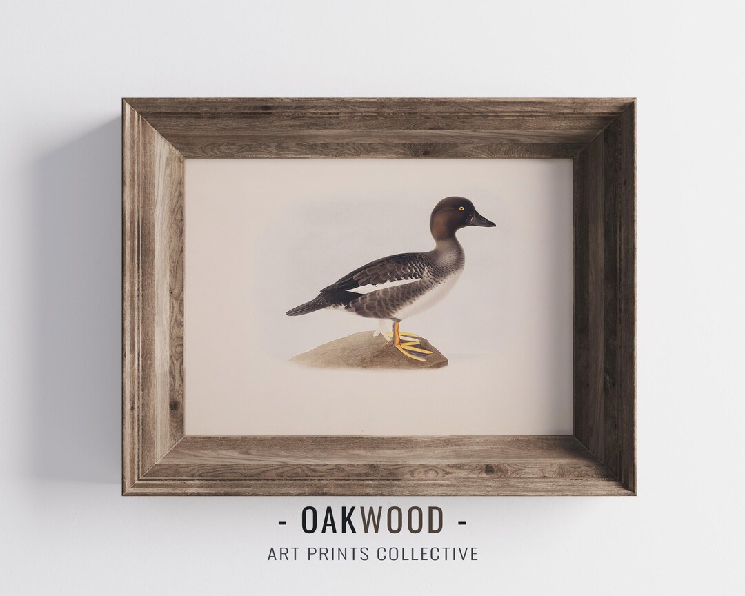 Vintage Farmhouse Bird Wall Art Print Antique Neutral Prints Printable ...