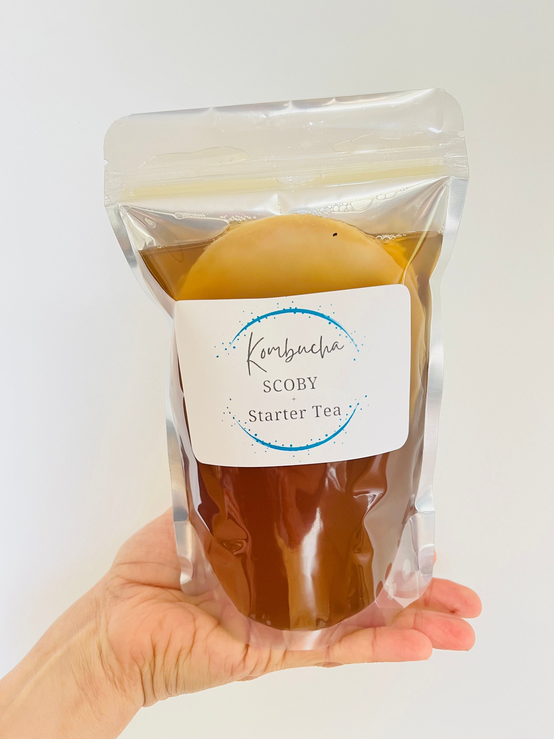 Organic Kombucha SCOBY STRONG Starter Tea - Etsy