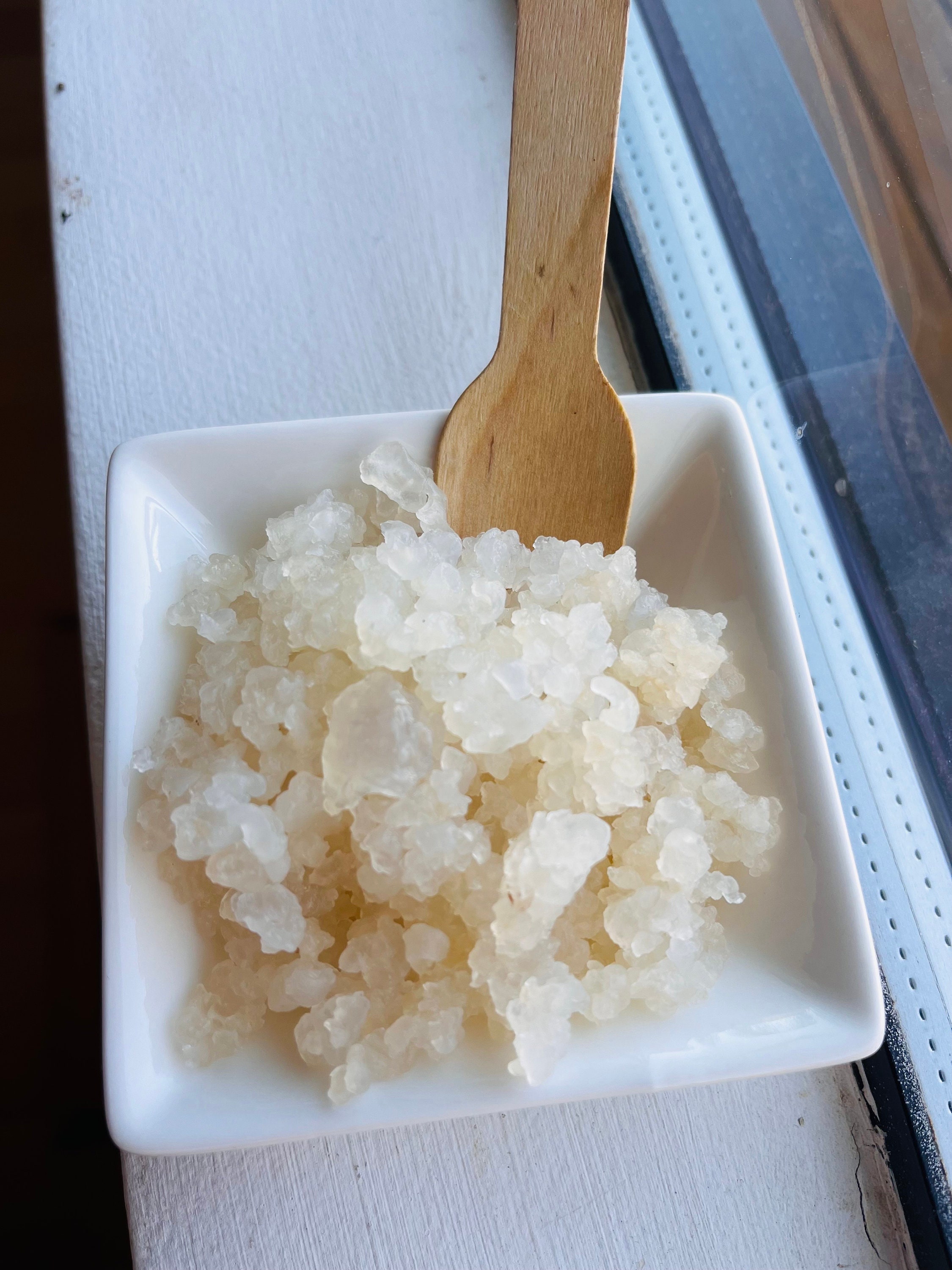Live Water Kefir Grains, Fresh, Organic 1/4, 1/3 or 1/8 Cup Probiotic ...