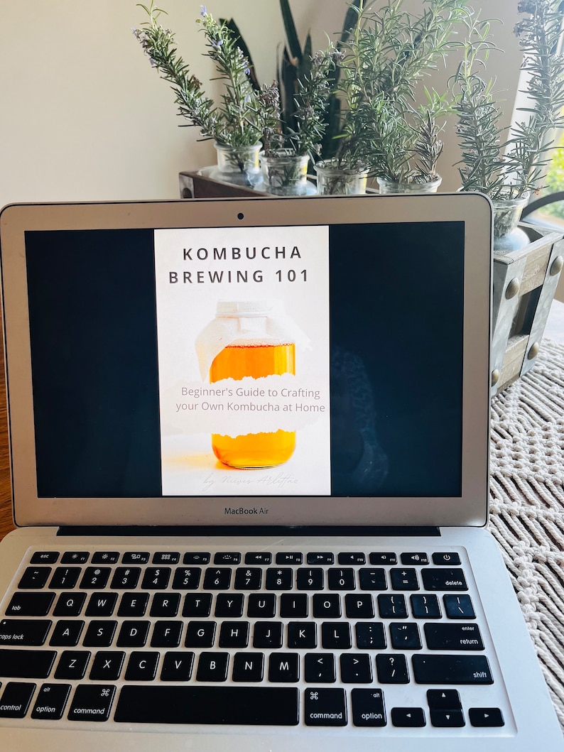 Kombucha Brewing 101 E-book - Printable Beginner's Guide to Crafting ...