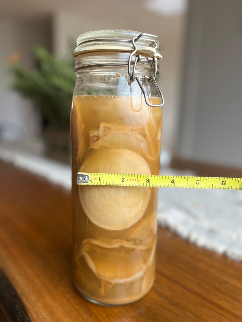 Organic Kombucha SCOBY STRONG Starter Tea - Etsy