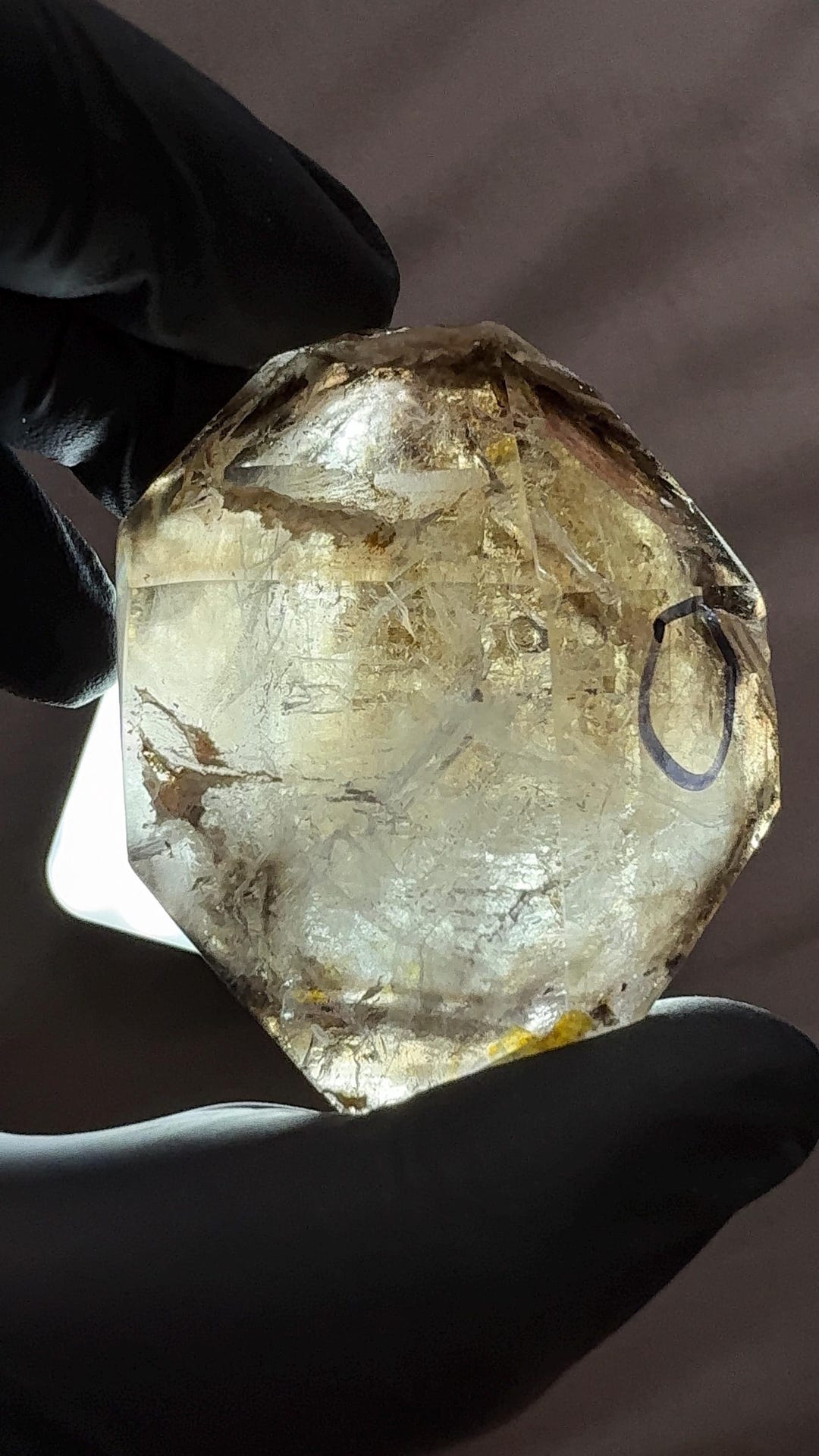 Double Bubble Elestial Smoky Quartz Enhydro | Rare Crystal With Two ...