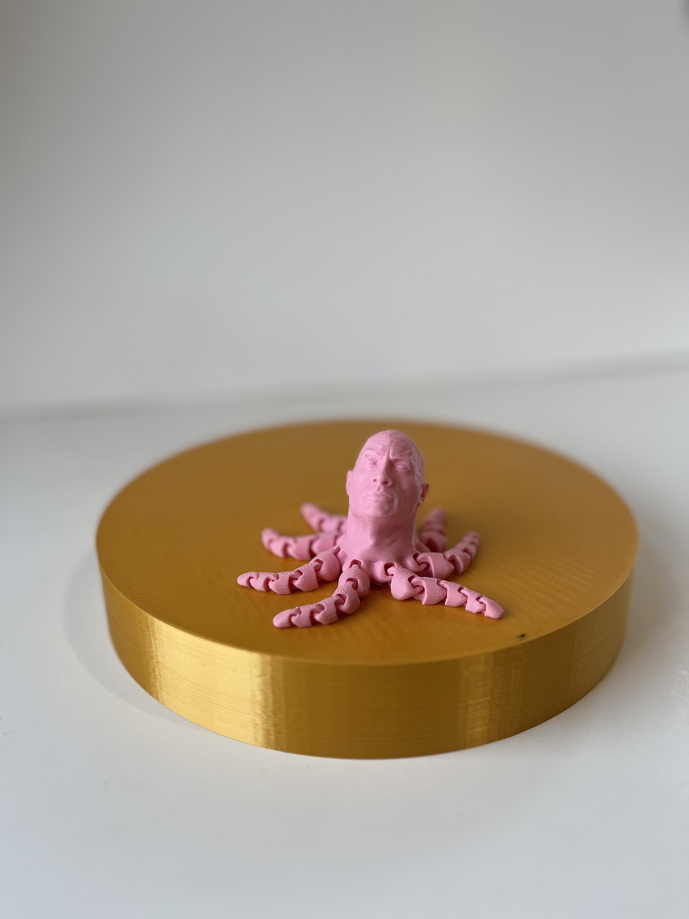 Rocktopus: Articulating Octopus Fidget Sensory Toy - Etsy