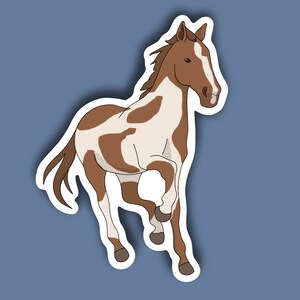 Customizable Horse Vinyl Personal Sticker Decal Gift for Equestrian ...