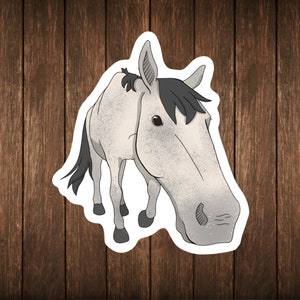 Customizable Cute Horse Sticker Personal Decal Gift for Equestrian ...
