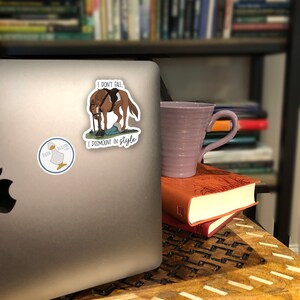 Funny Horse Sticker Equestrian Sticker Vinyl Horse Decal I Don't Fall ...