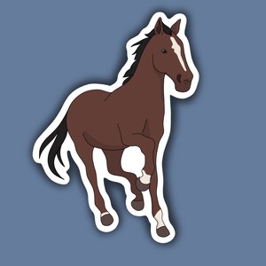 Customizable Horse Vinyl Personal Sticker Decal Gift for Equestrian ...