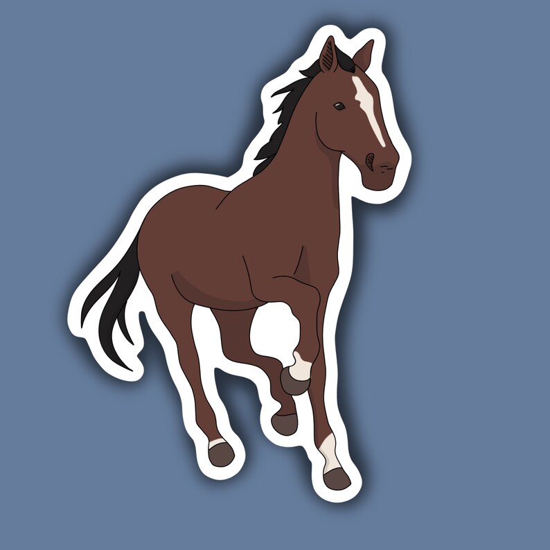 Customizable Horse Vinyl Personal Sticker Decal Gift for - Etsy