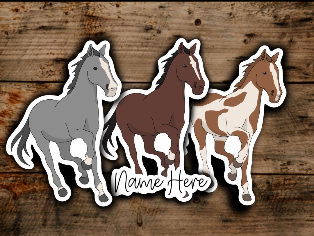 Customizable Horse Vinyl Personal Sticker Decal Gift for Equestrian ...