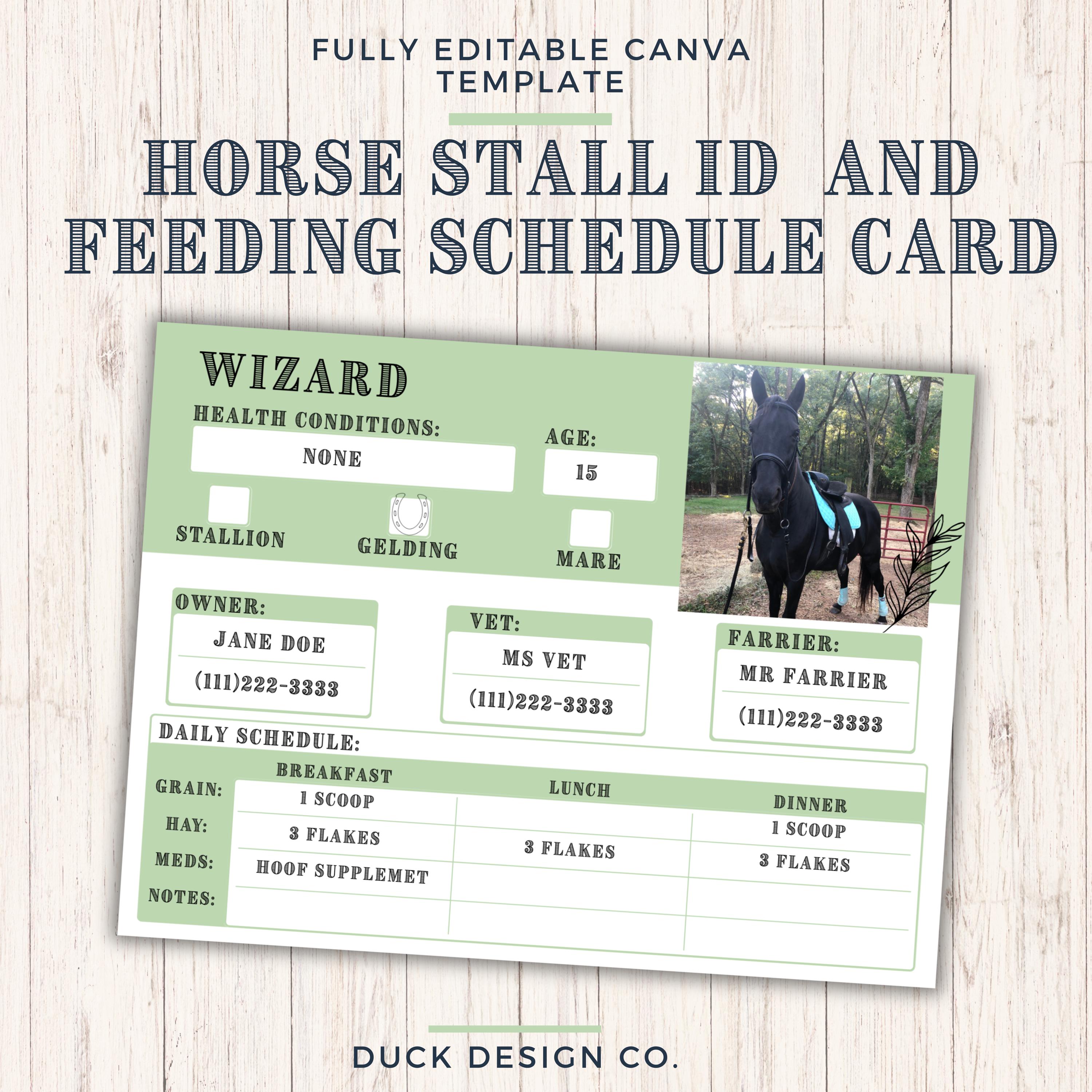 Customizable Horse Stall Card Canva Template Name Plate Equestrian ...
