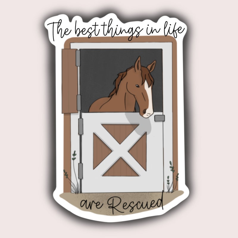 Equestrian Gifts - 60+ Gift Ideas for 2025