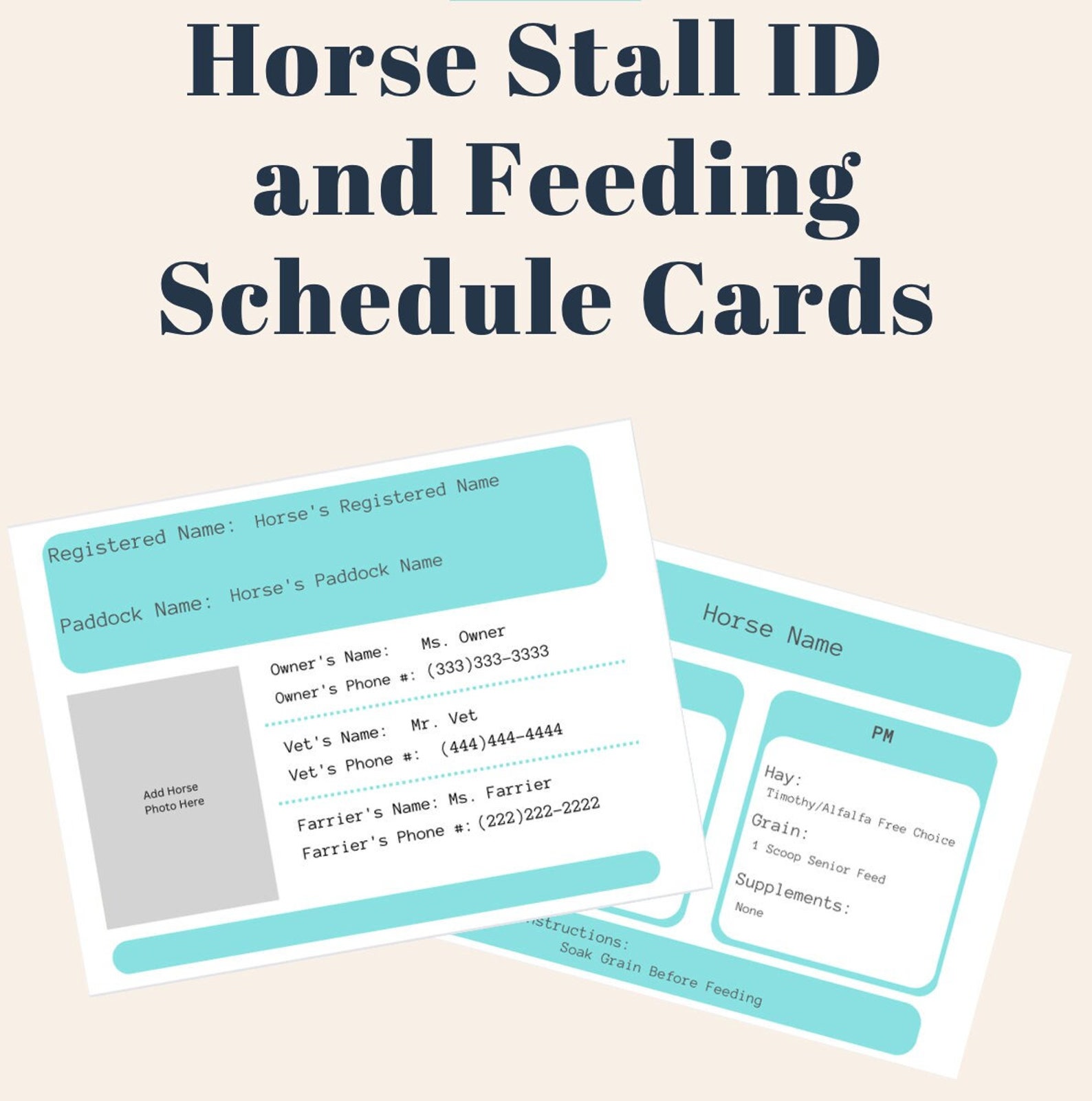 Fully Editable Horse Stall ID and Feeding Schedule Cards Canva Template ...