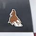 Customizable Animation Horse Sticker Personal Decal Cartoon - Etsy