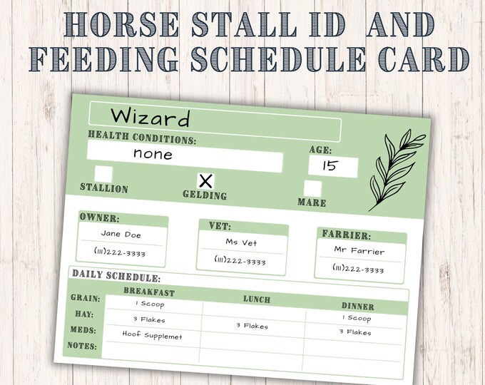 Customizable Horse Stall Card Print and Write Name Plate Equestrian ...
