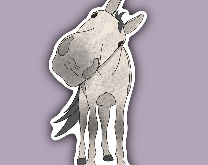 Customizable Head Tilt Horse Sticker Personal Decal Gift for Equestrian ...