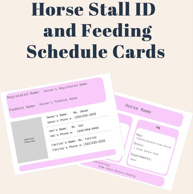 Fully Editable Horse Stall ID and Feeding Schedule Cards Canva - Etsy