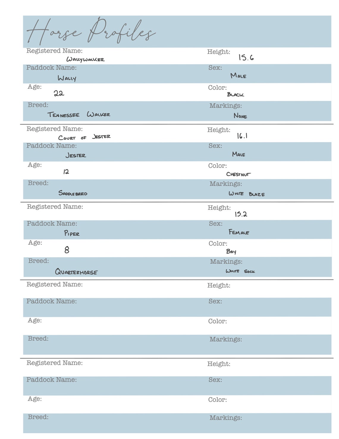 Horse Care Checklist Digital Download Horse Profiles Support Teams ...