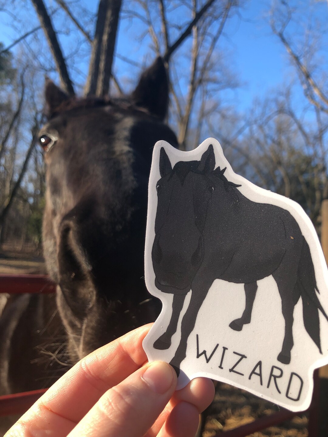 Horse Vinyl Sticker - Customizable - Equestrian - Horse - Water ...