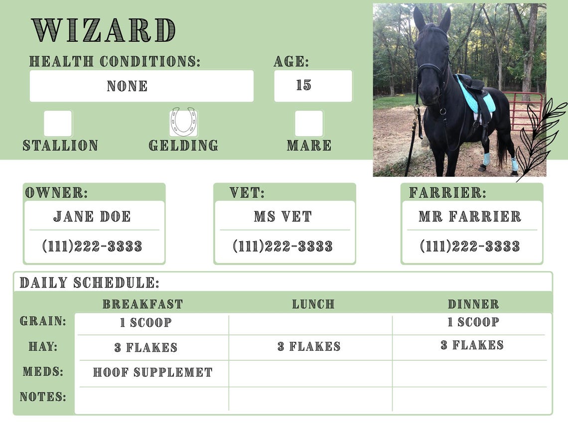 Customizable Horse Stall Card Canva Template Name Plate Equestrian ...