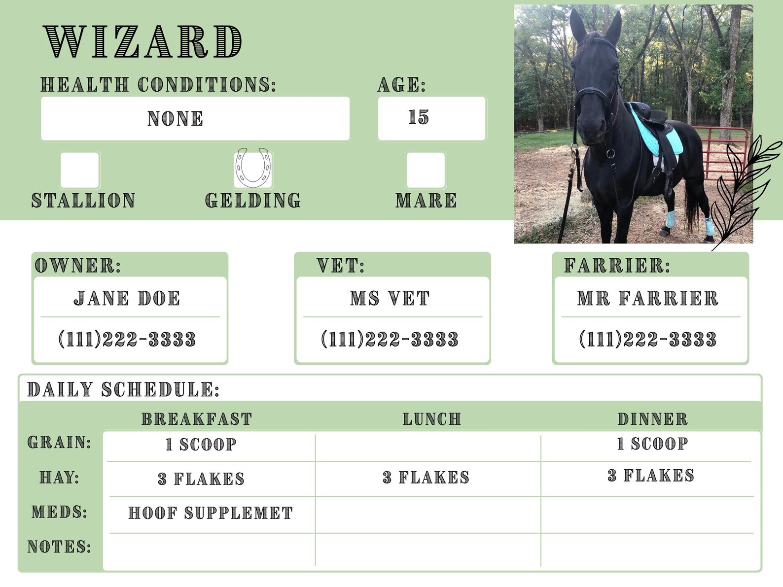 Customizable Horse Stall Card Canva Template Name Plate Equestrian ...
