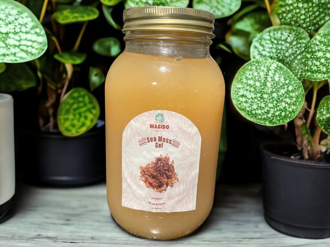 Wildcrafted Sea Moss, Raw Sea Moss - Etsy