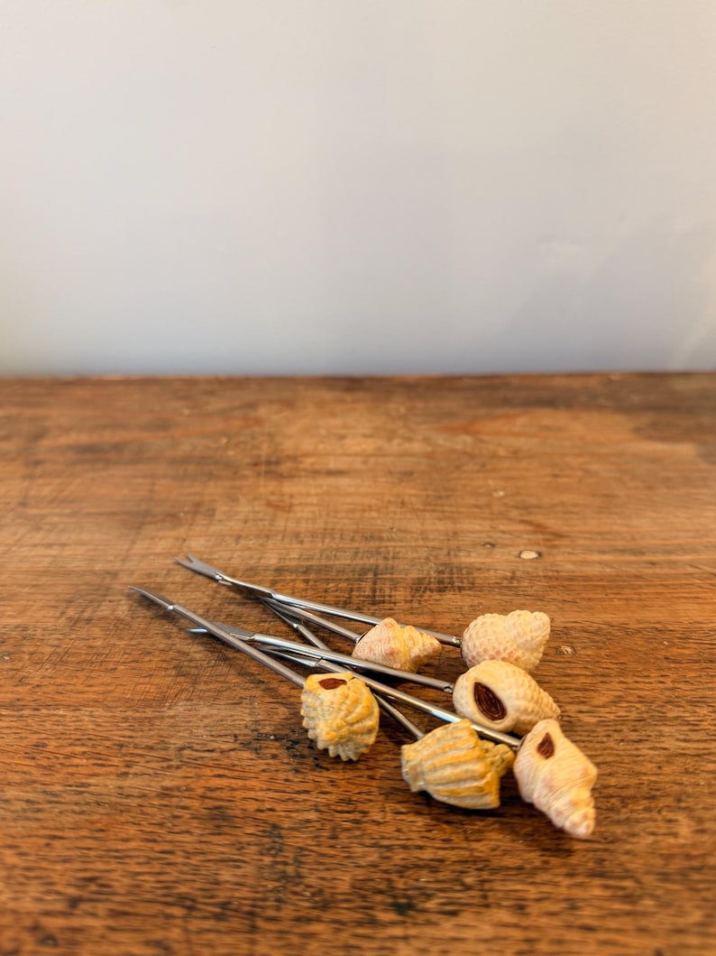 Vintage Shell Cocktail Sticks - Serveware - Etsy UK