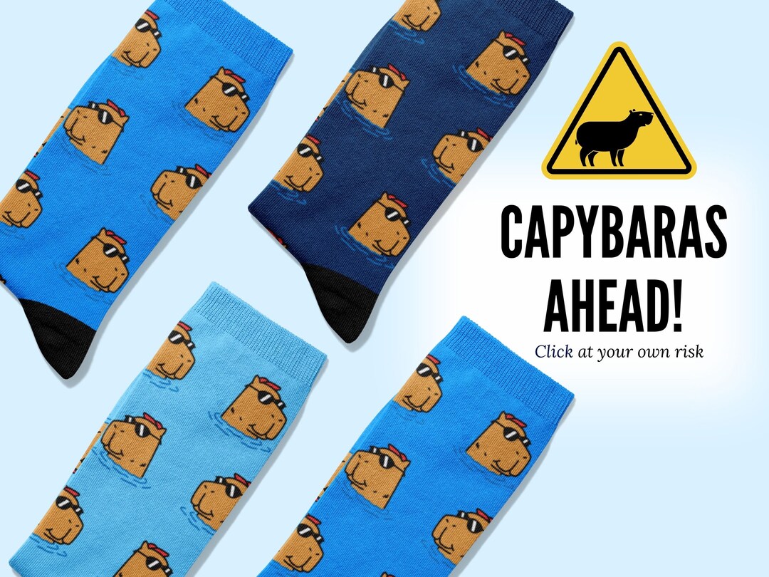 Capybara Animal Socks, Funny and Cool Rodent Socks, Gift for Him and ...