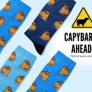 Capybara Animal Socks, Funny and Cool Rodent Socks, Gift for Him and ...