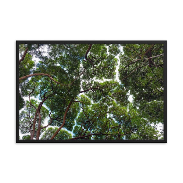 Tree Canopy - Etsy