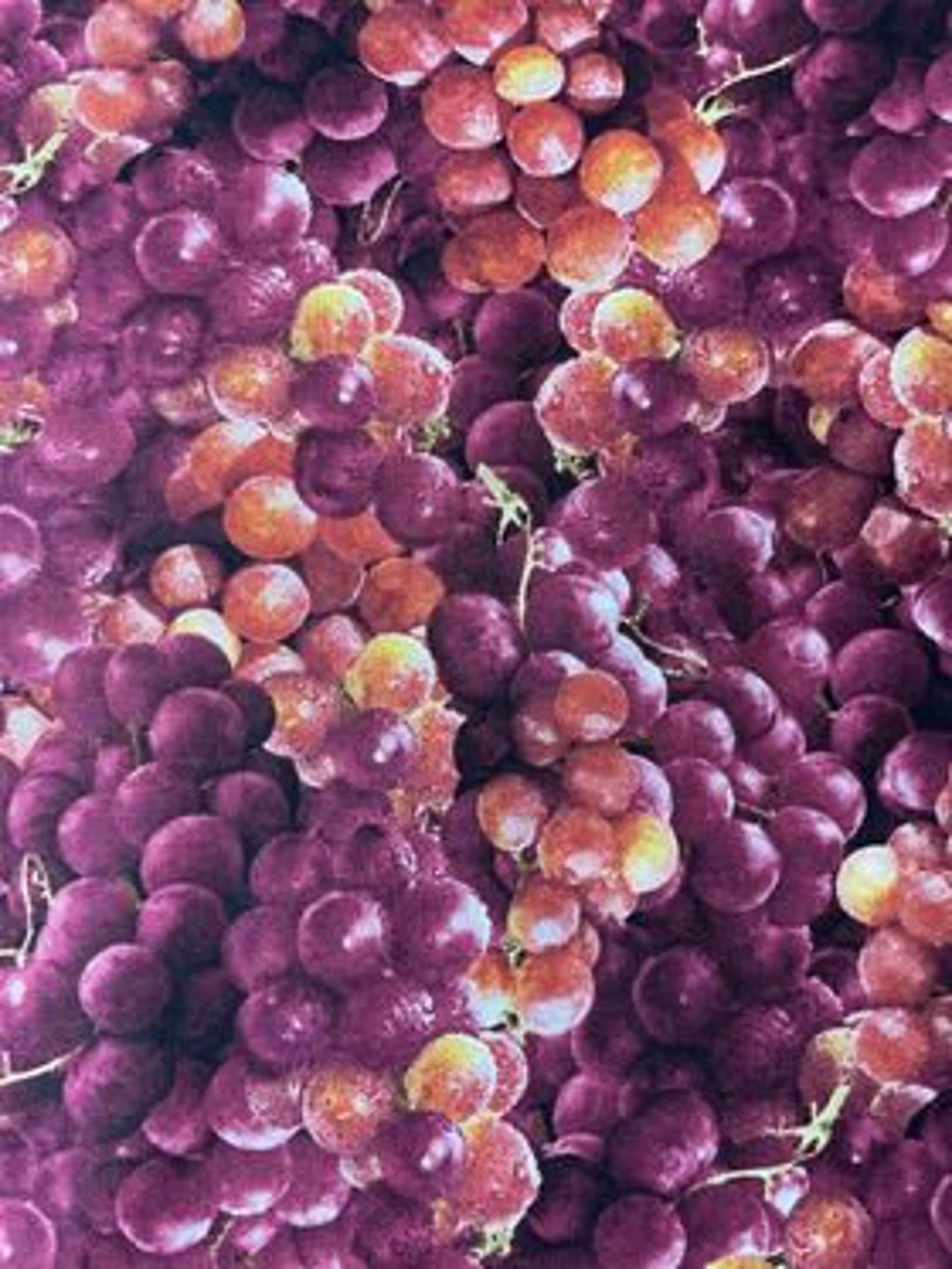 Purple Grapes Fabric Fresh on the Vine Quilting Fabric Designer Farmers ...