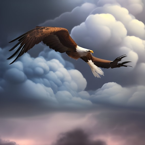 Eagle Flying In The Storm