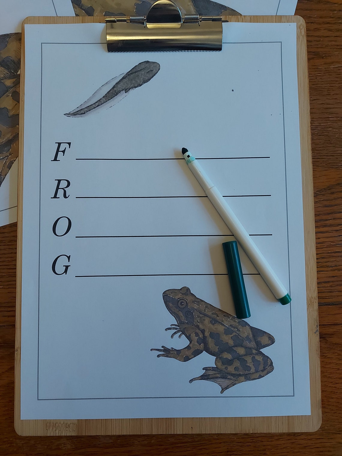 Frog Unit Study, Life Cycle, Anatomy, Nature Printables, INSTANT ...