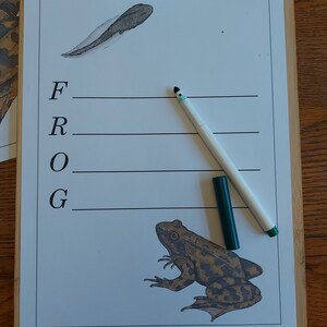Frog Unit Study, Life Cycle, Anatomy, Nature Printables, INSTANT ...