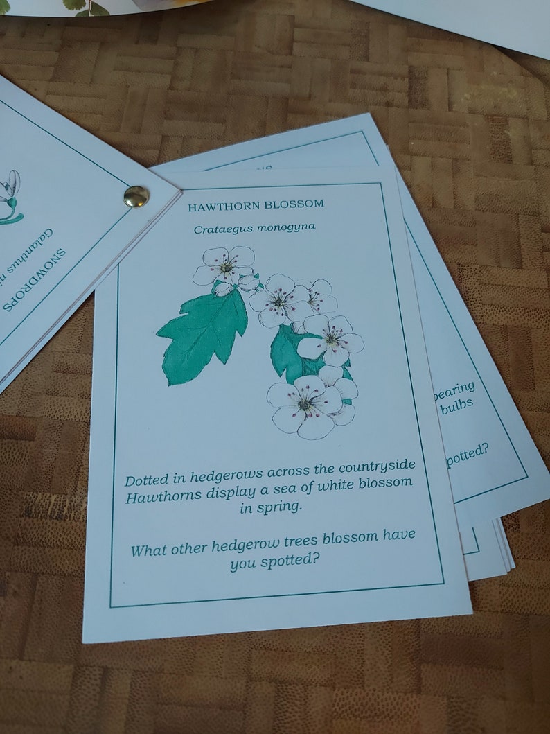 Signs of Spring Scavenger Hunt Flash Card Pack - Etsy