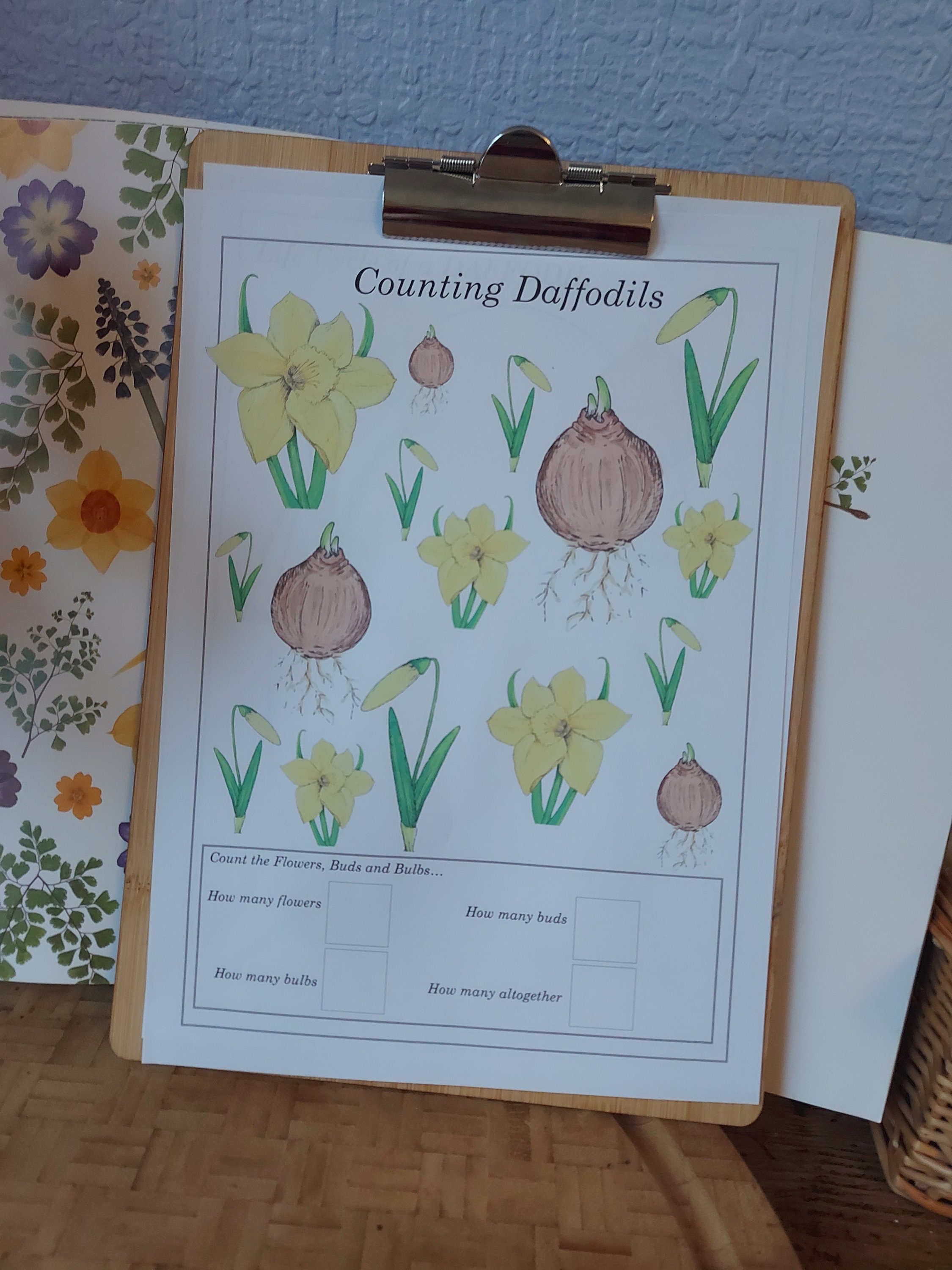 Daffodil Life Cycle | Nature Study | Spring Plants | Montessori ...