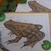 Frog Unit Study, Life Cycle, Anatomy, Nature Printables, INSTANT ...