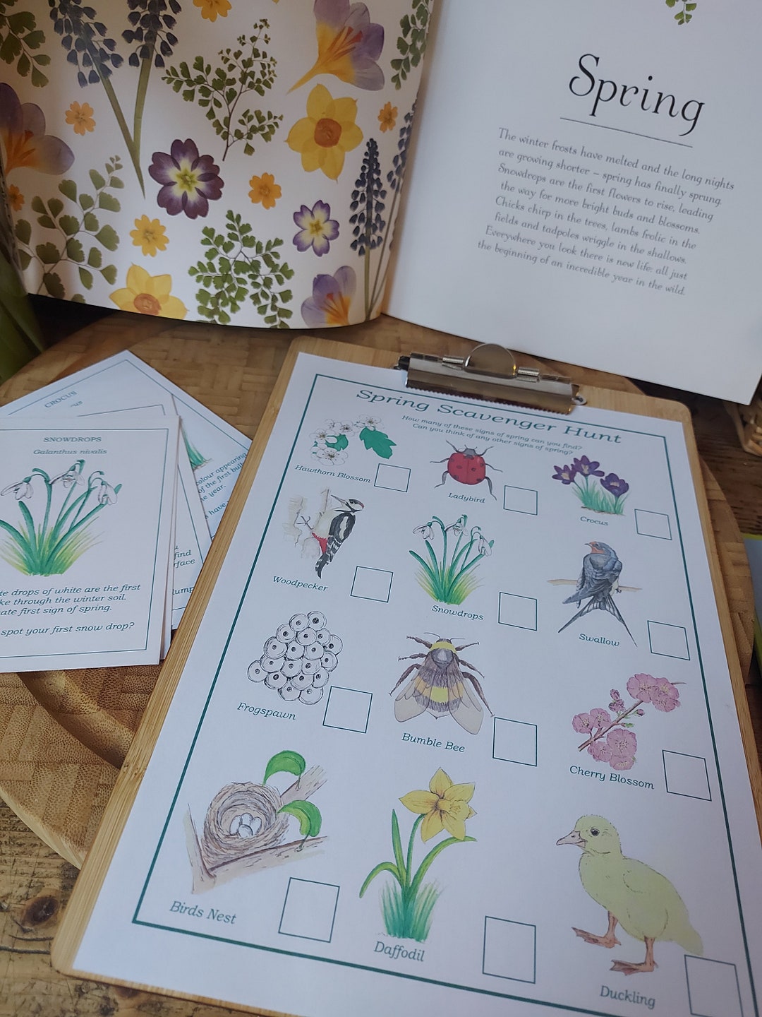 Signs of Spring | Scavenger Hunt | Flash Card Pack - Etsy