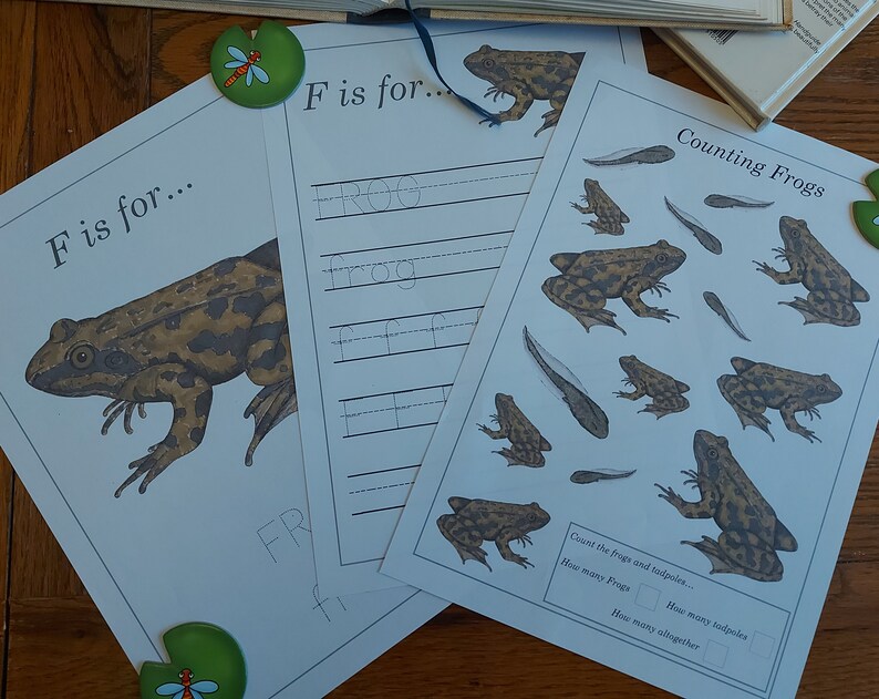 Frog Unit Study, Life Cycle, Anatomy, Nature Printables, INSTANT ...