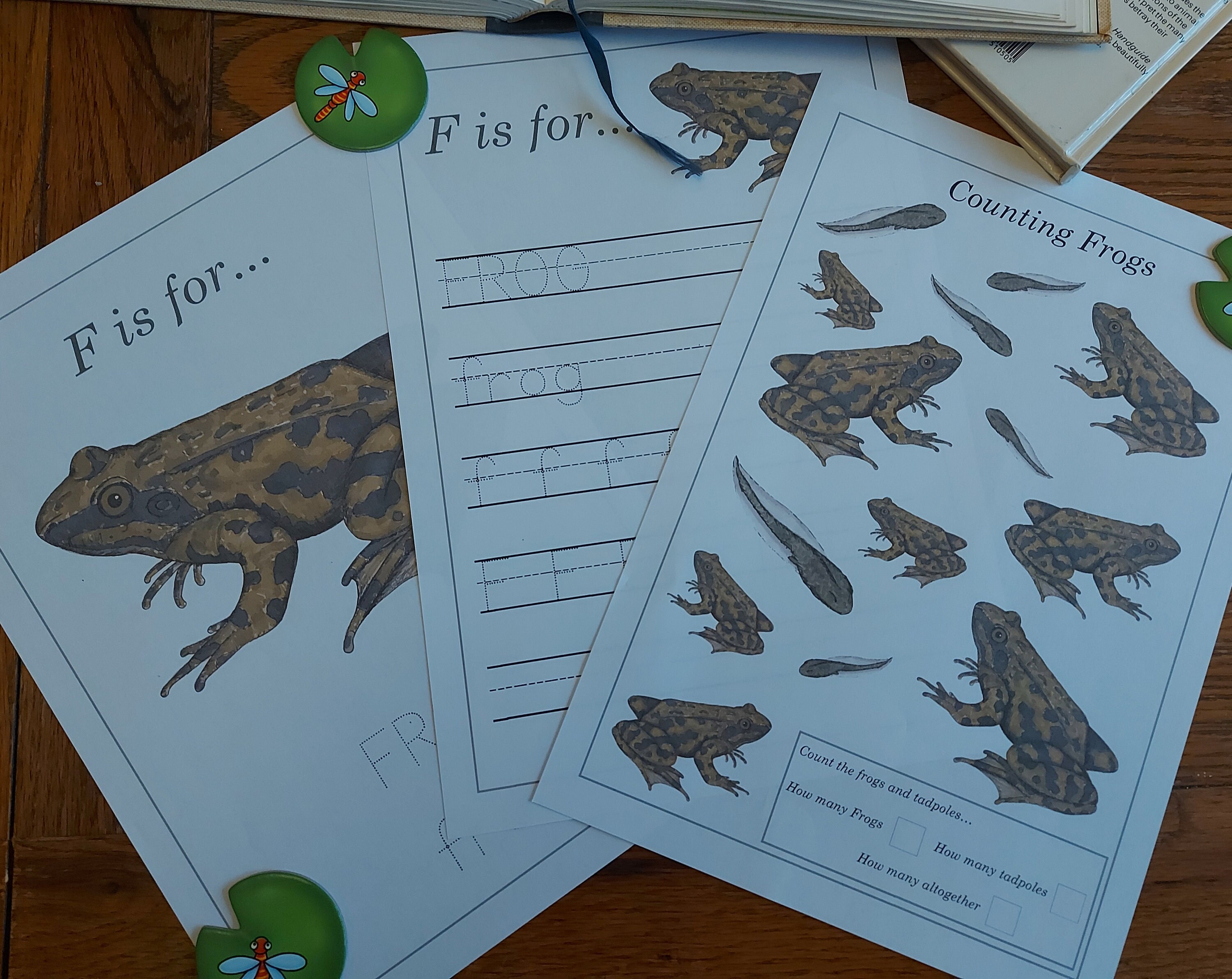 Frog Unit Study, Life Cycle, Anatomy, Nature Printables, INSTANT ...