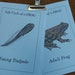 Frog Unit Study, Life Cycle, Anatomy, Nature Printables, INSTANT ...